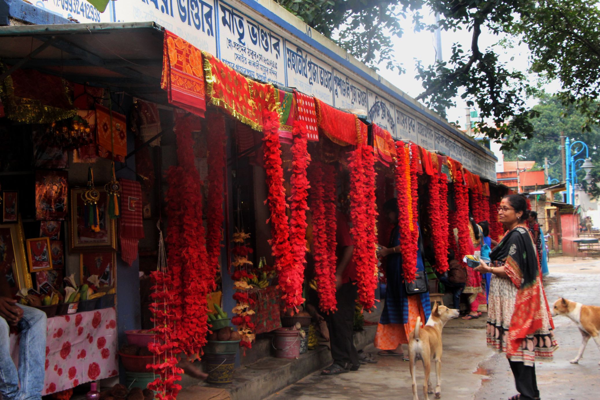 Photo credit: Wikimedia Commons